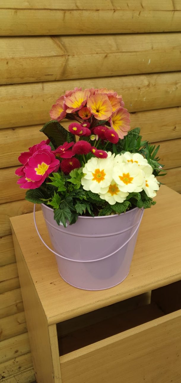 Lilac Bucket Container - Beechmount Garden Centre